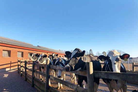 Viken Farm of the Future | Lantmännen
