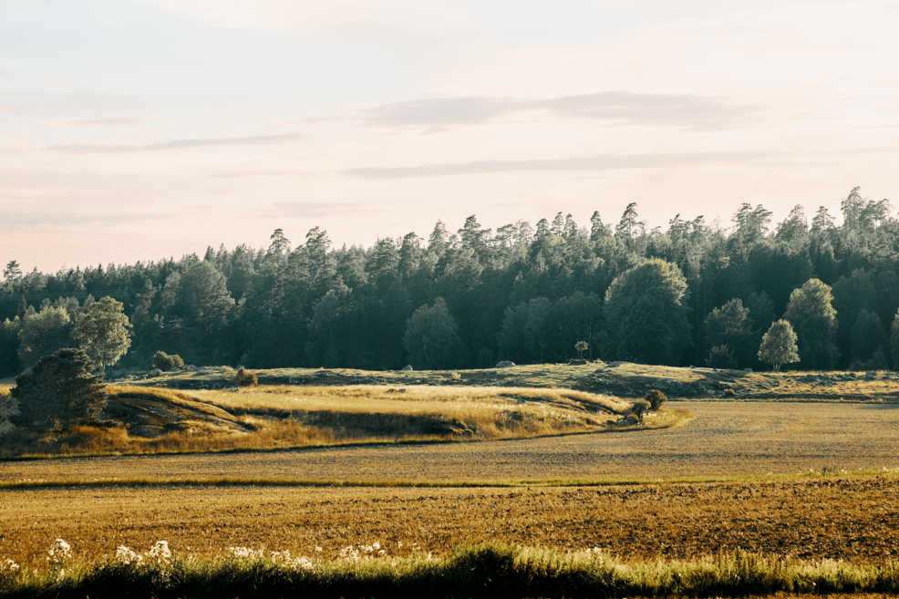 Scan Sverige förvärvar Lindvalls Chark AB